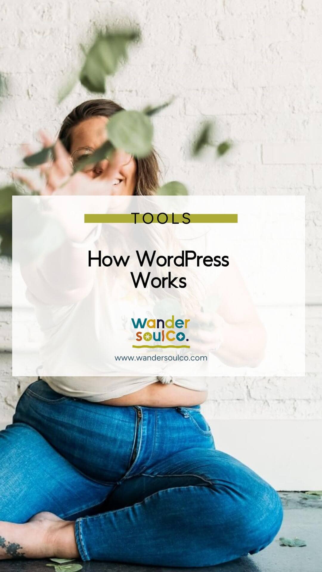 How WordPress Works: 3 Reasons It's the Only Choice for You - Wandersoul Co